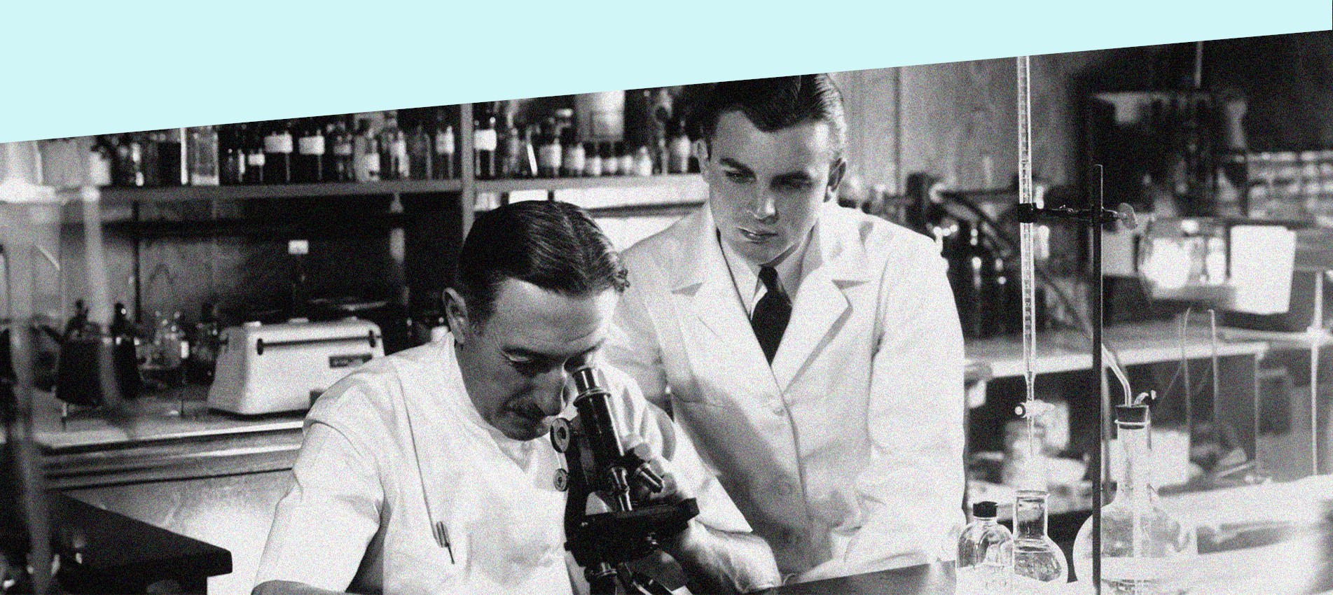 Segal Innovation Timeline | Segal